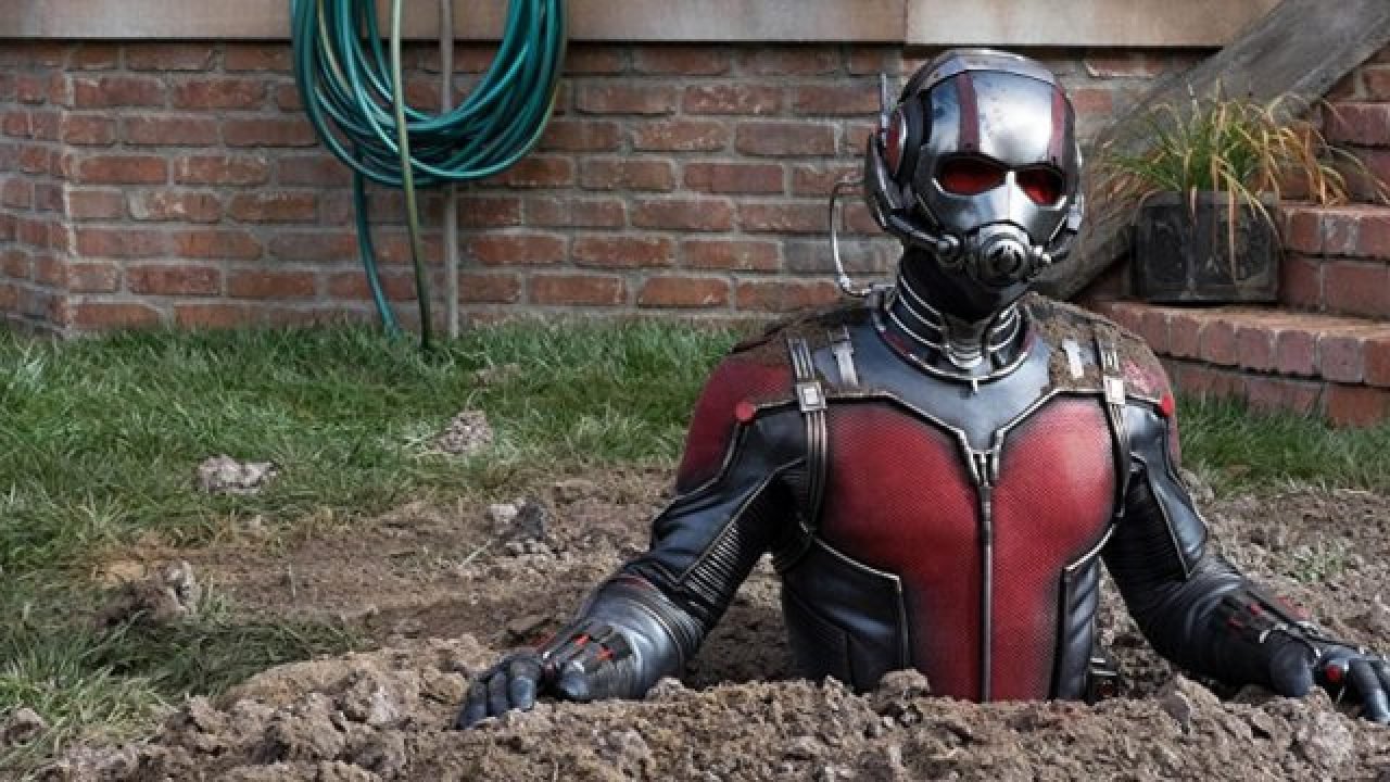 The MCU's Phase Four is Finally Giving Ant-Man The Love He Deserves ...